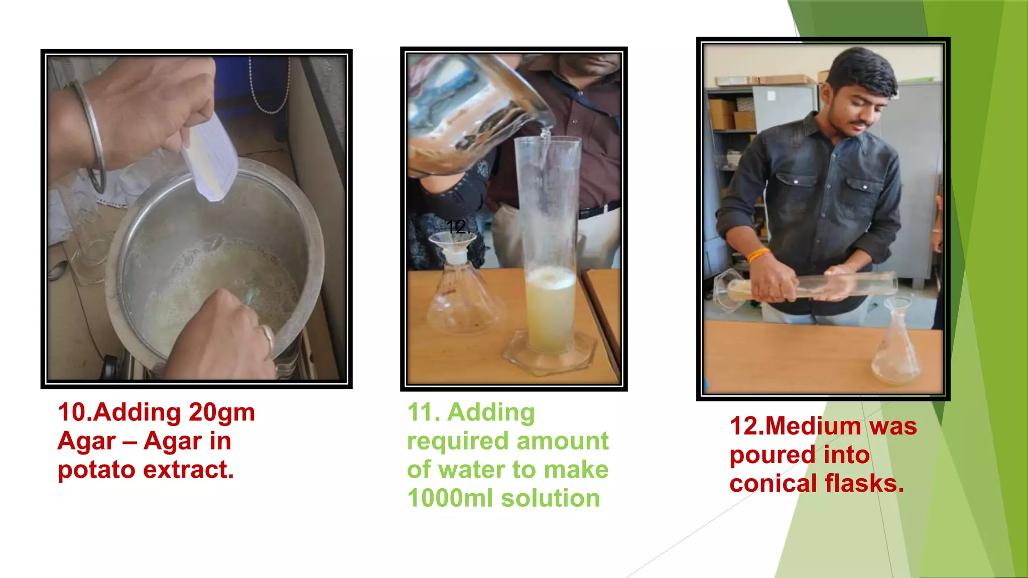 Mushroom Cultivation and Spawn Production technology | PPTX