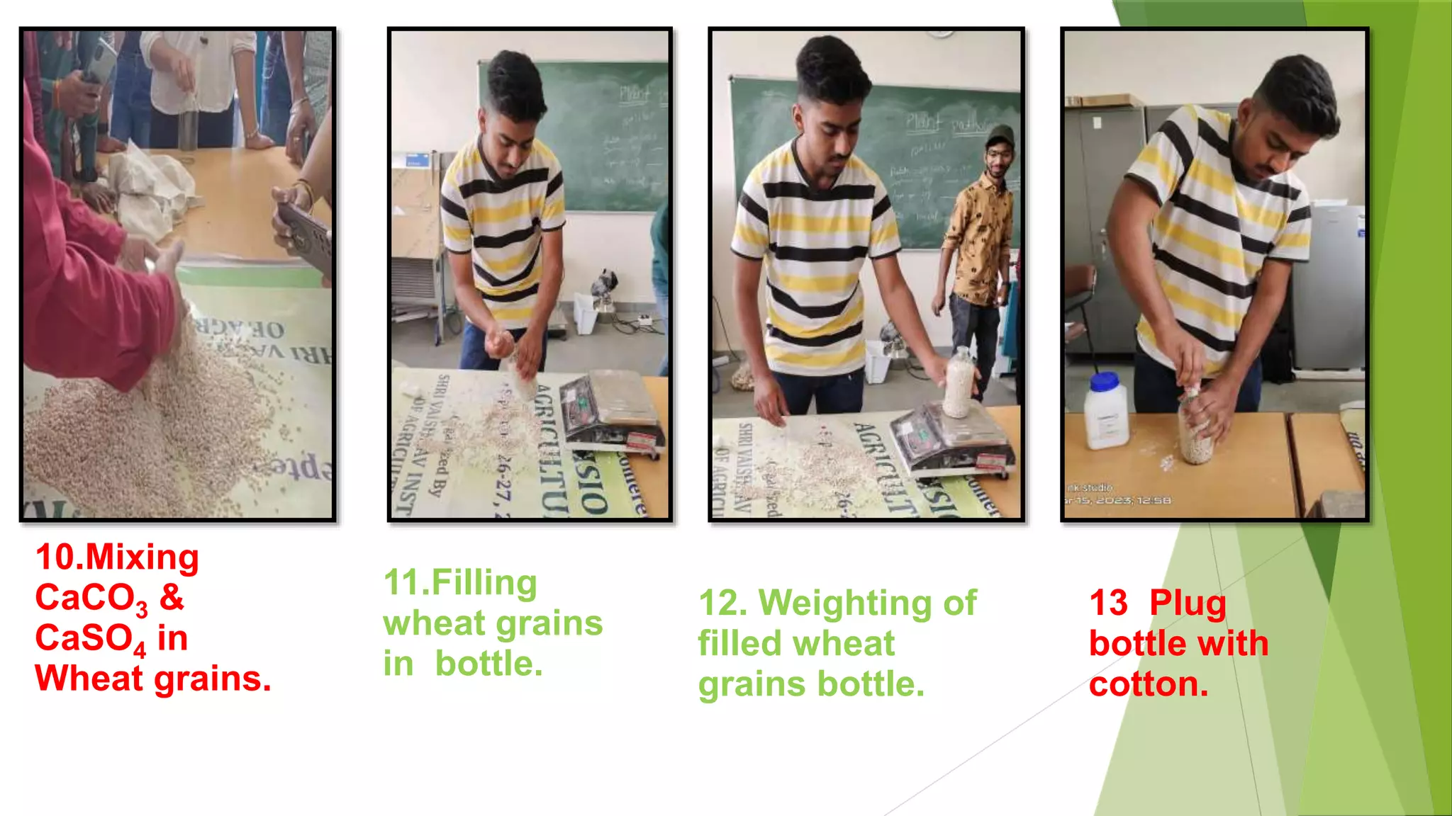 Mushroom Cultivation and Spawn Production technology | PPTX