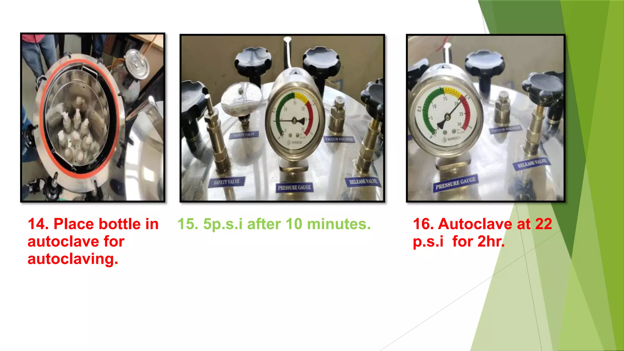 Mushroom Cultivation and Spawn Production technology | PPTX