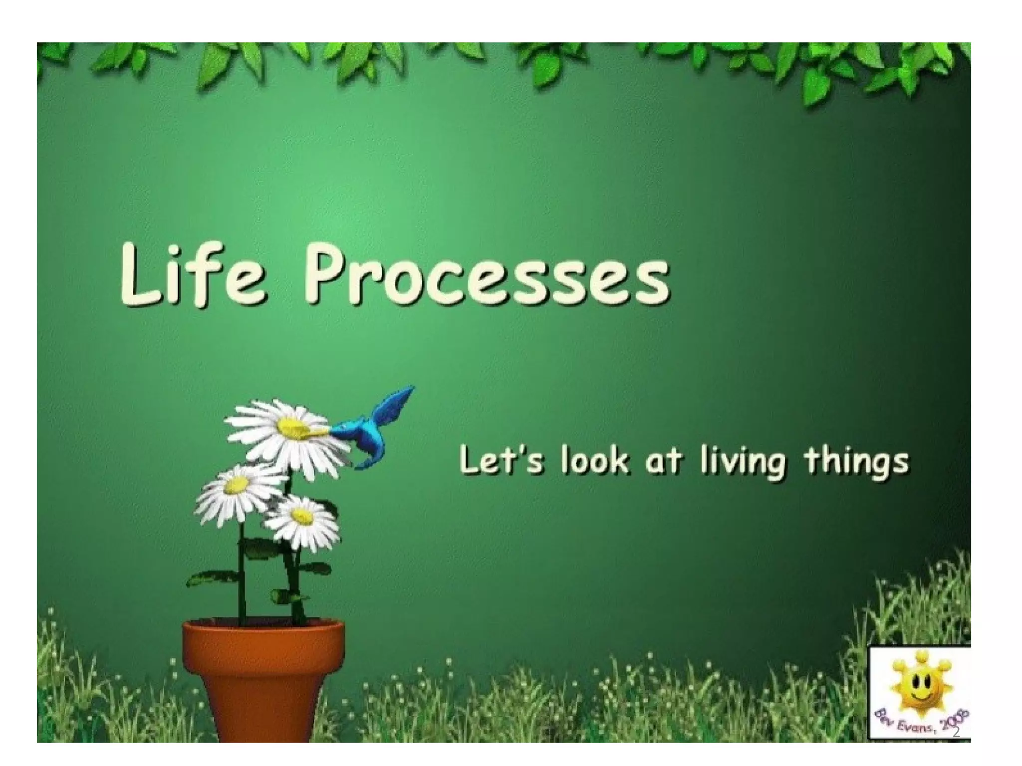 life processes | PPT