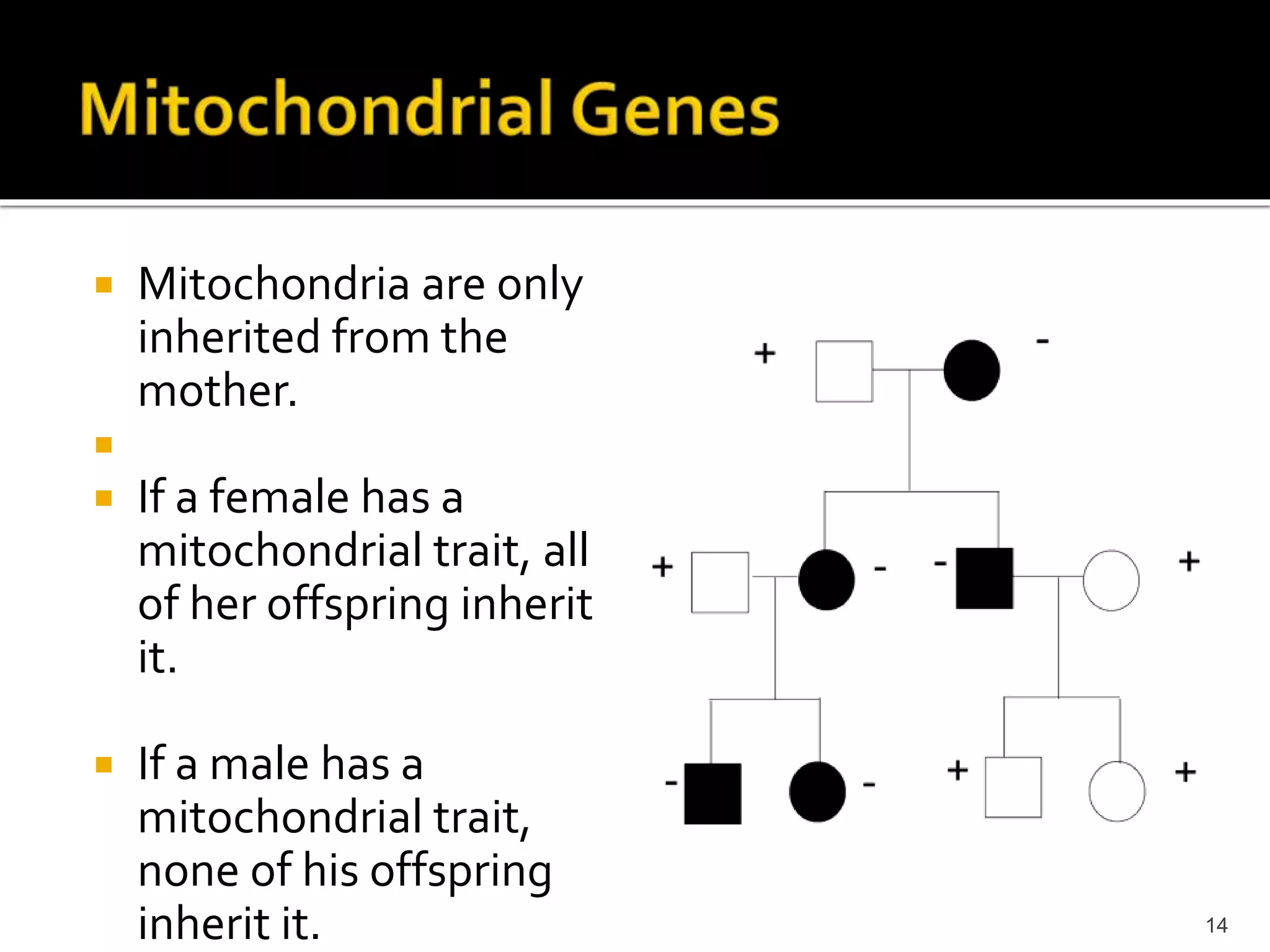 pedigree analysis | PPTX