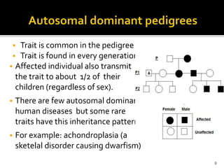 Autosomal Recessive Inheritance Pedigree