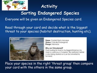 Endangered Species | PPT