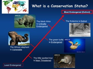 Endangered Species | PPT