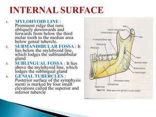 Anatomy and Development of Mandible | PPTX