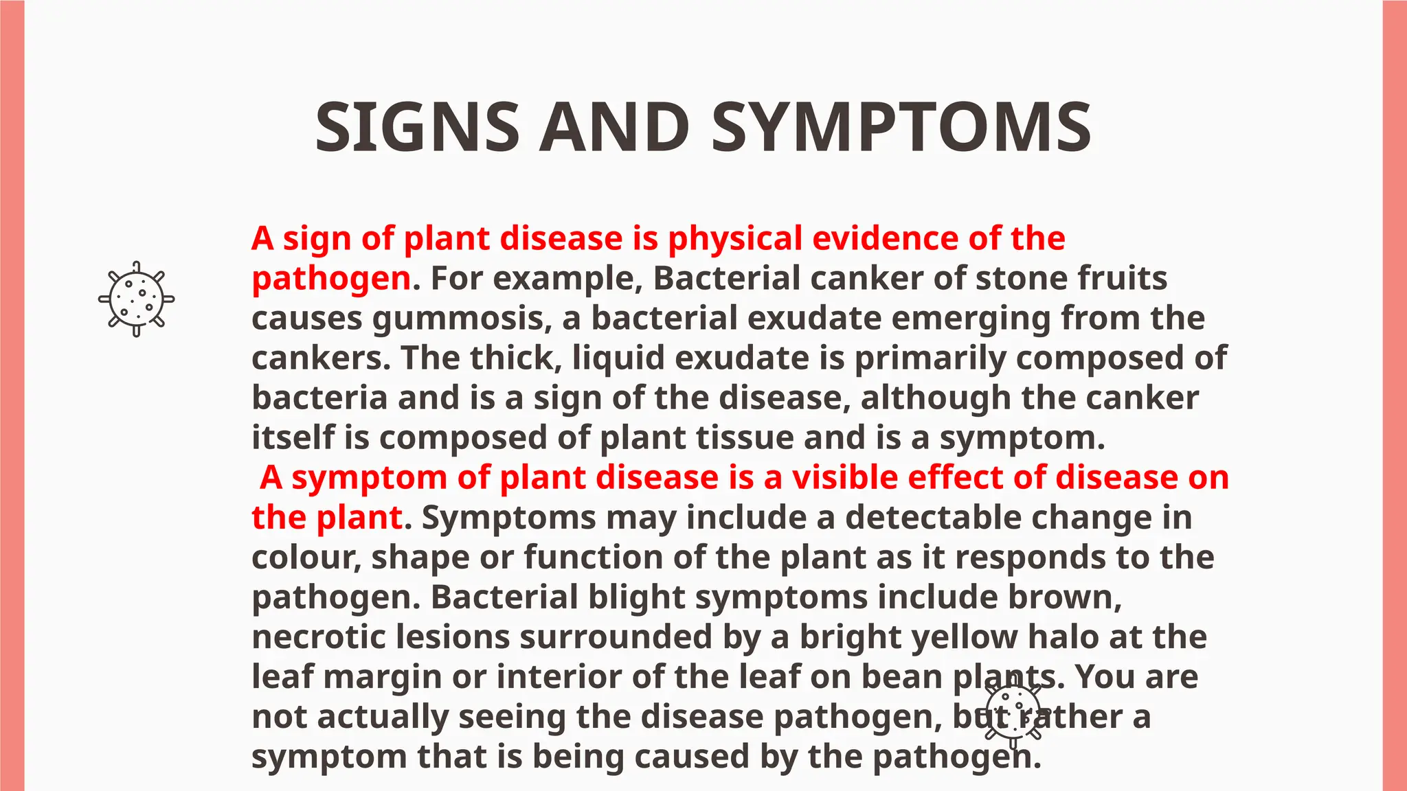 Pathology -plant bacterial diseases,causing organisms, management | PPTX