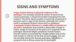 Pathology -plant bacterial diseases,causing organisms, management | PPTX
