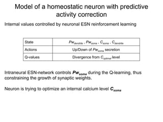 Integrate-and-fire neuron model with STDP plasticity bounded by neurotransmitter receptor pool | PPT