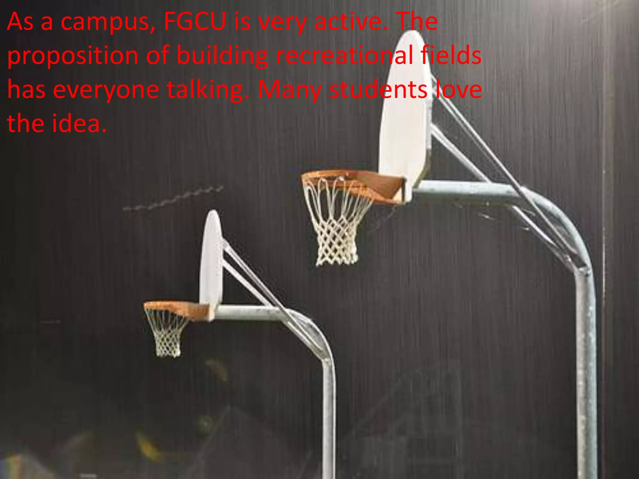 Nikki Leone Rogerian Argument Visual Paper 3 Draft Ppt