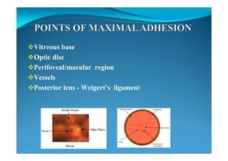 Nikolakopoulos vitrectomy or microplasmin in dme with vitreomacular ...