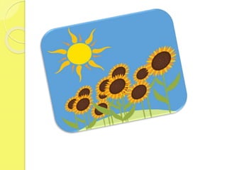 Nikolina Sarapa | PPTX