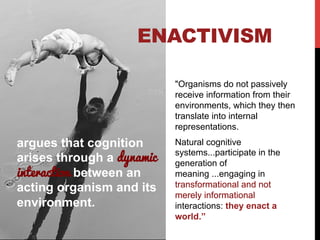 Semiotics and Enactive Approach | PPT