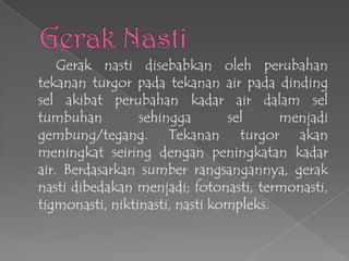 Gerak Niktinasti pada Lamtoro | PPTX