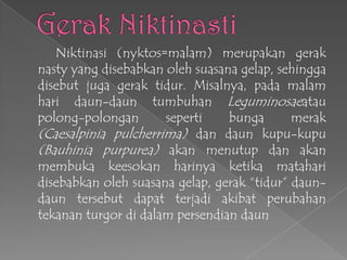 Gerak Niktinasti pada Lamtoro | PPTX