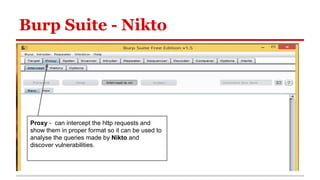 Nikto | PDF