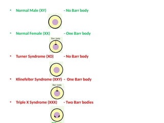 Sex chromatin or barr bodies ................ | PPTX