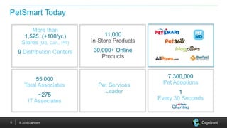 PetSmart’s eCommerce Modernization: Using APIs To Drive Agility ...