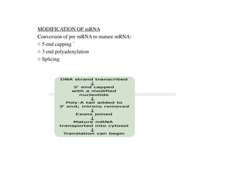 post transcriptional modifications | PDF
