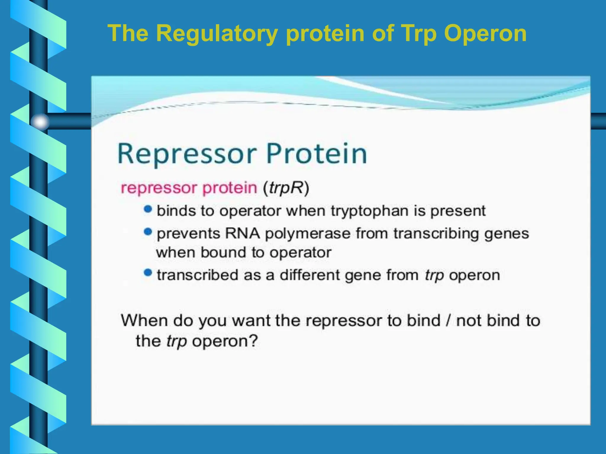 expression of genes , operon - lac operon and trp operon | PPT