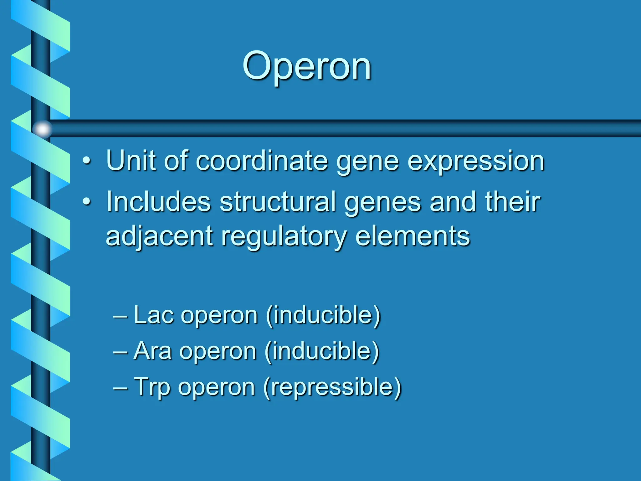 expression of genes , operon - lac operon and trp operon | PPT