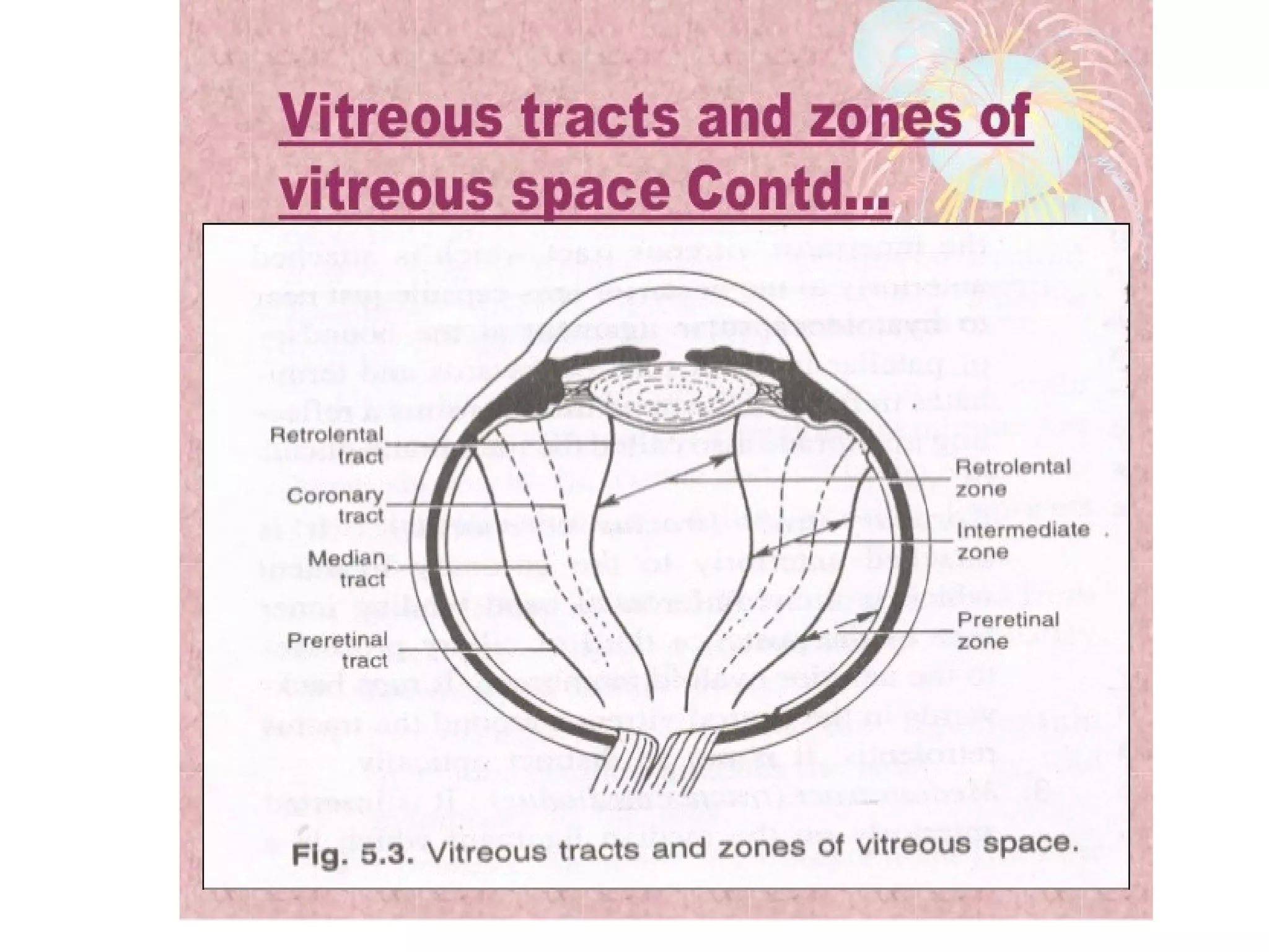 Vitreous humour | PPT