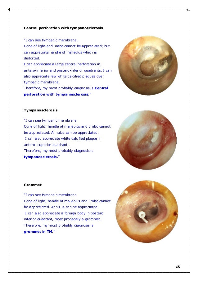 Manikins examination for Medical students