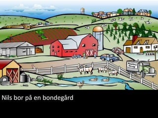 Nils og traktoren | PPT