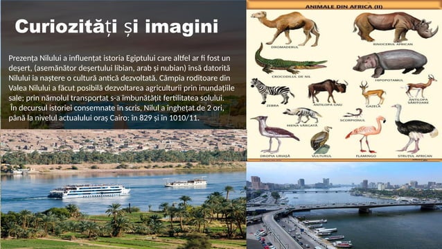 Raul Nil informatii importante si curiozitati | PPT