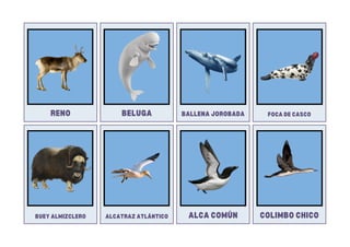 ÁNIMALES DEL ÁRTICO.pdf