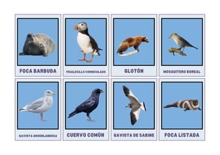 ÁNIMALES DEL ÁRTICO.pdf