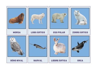 ÁNIMALES DEL ÁRTICO.pdf