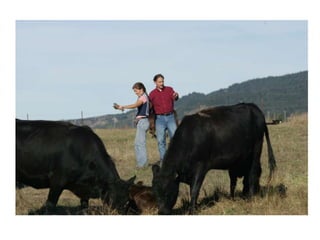 Nicolette Hahn Niman | PPTX