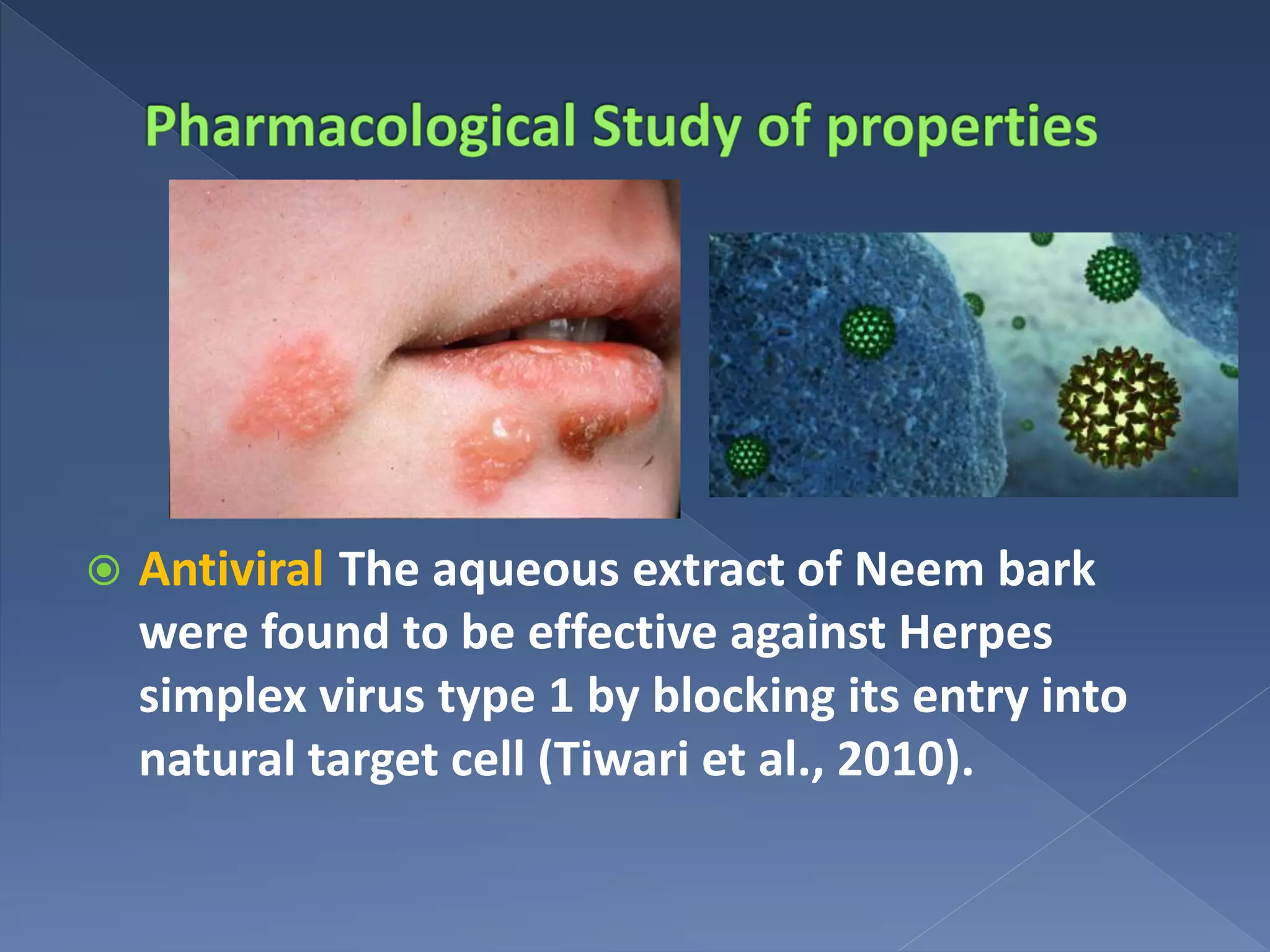 Pharmacological study of Nimba(Azadirachta indica) in relation to ...