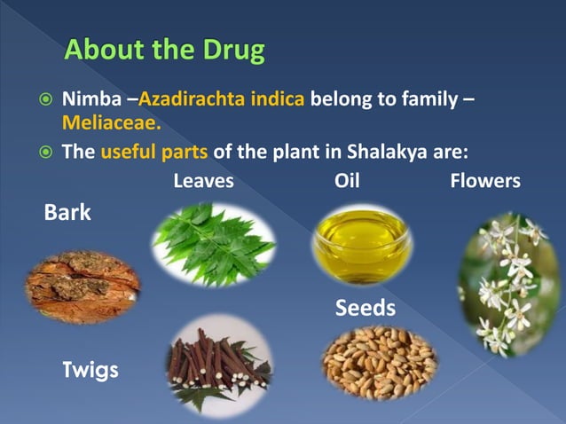 Pharmacological study of Nimba(Azadirachta indica) in relation to ...