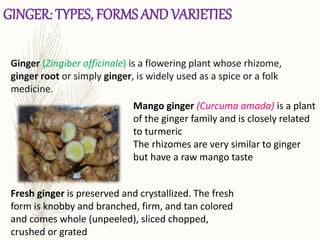 All about Ginger- Nimisha Kaikkolante | PPTX