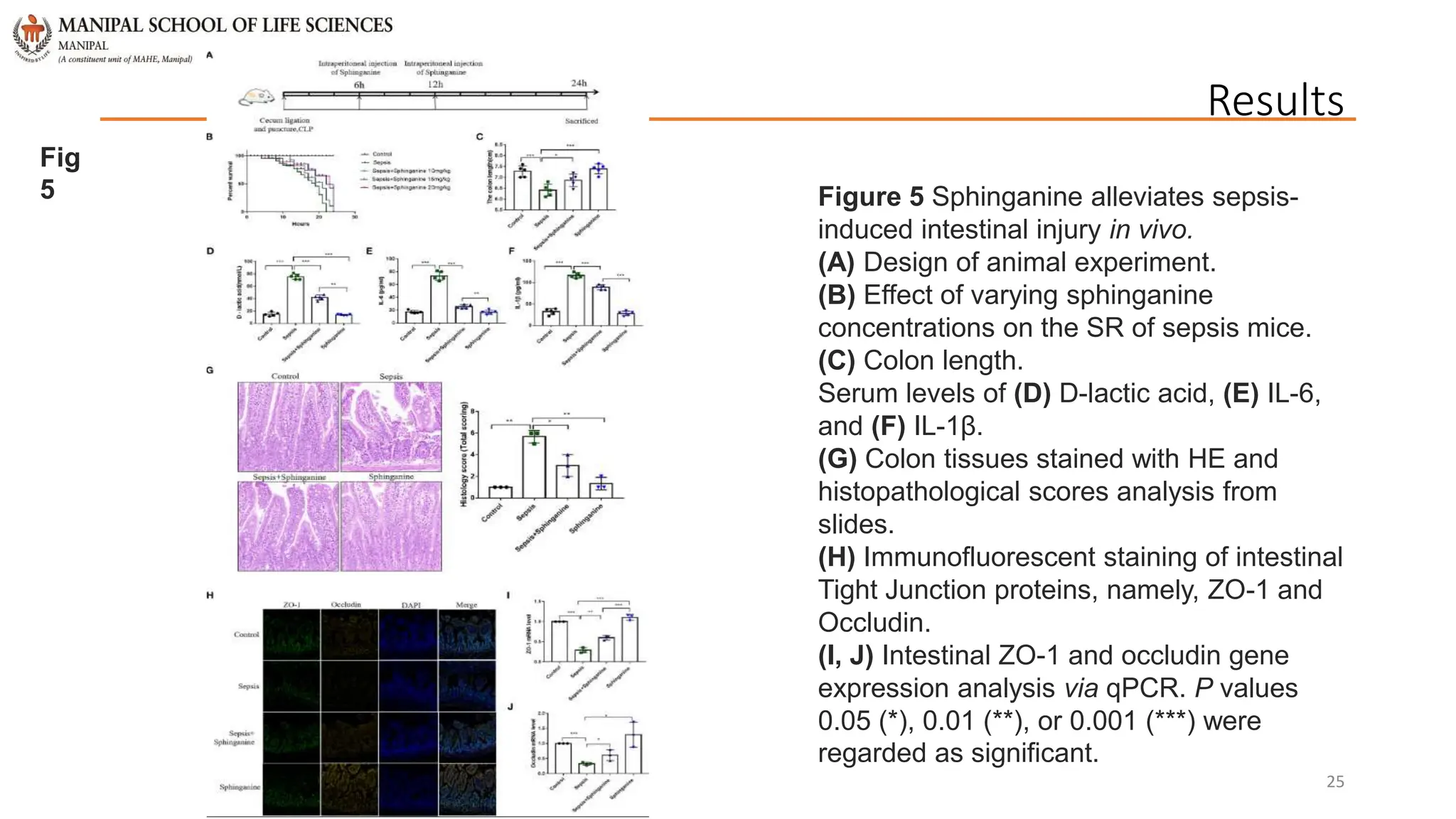 Machine Learning Models Used To Diagnose Sepsis Pptx