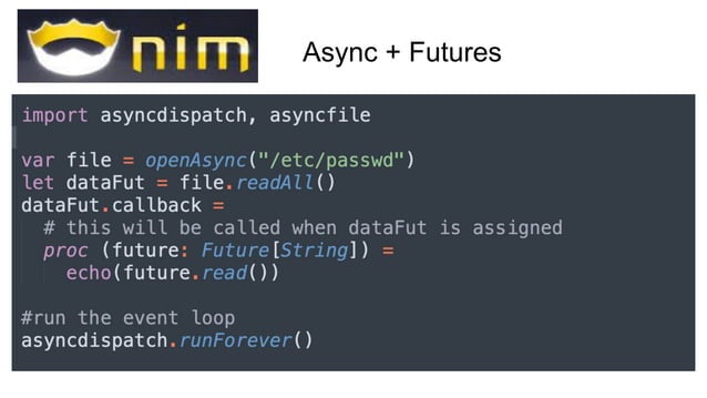 Nim programming language - DevFest Berlin 2019 | PDF