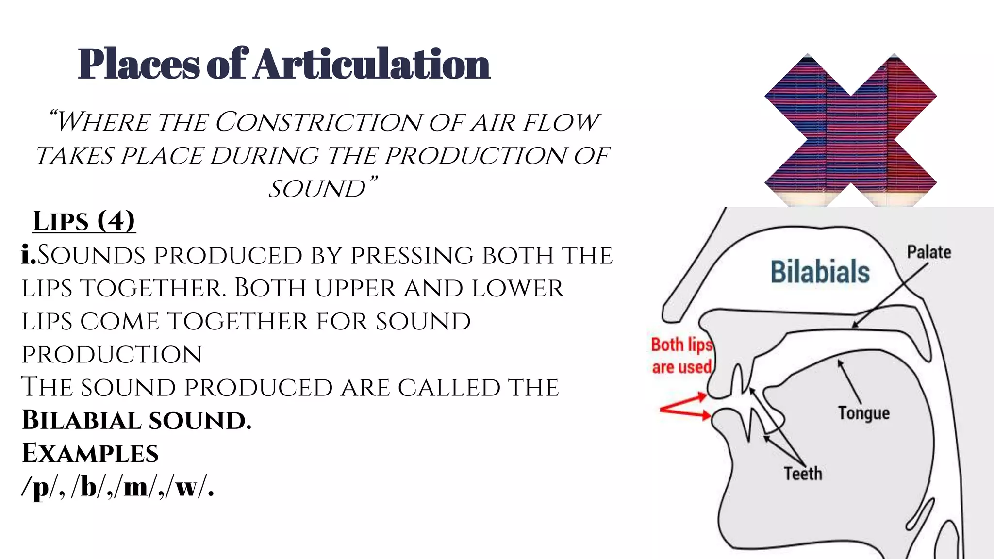 Places of articulation. | PPTX
