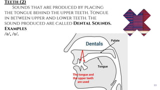 Places of articulation. | PPTX