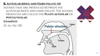 Places of articulation. | PPTX