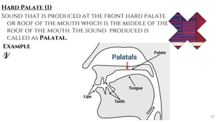 Places of articulation. | PPTX
