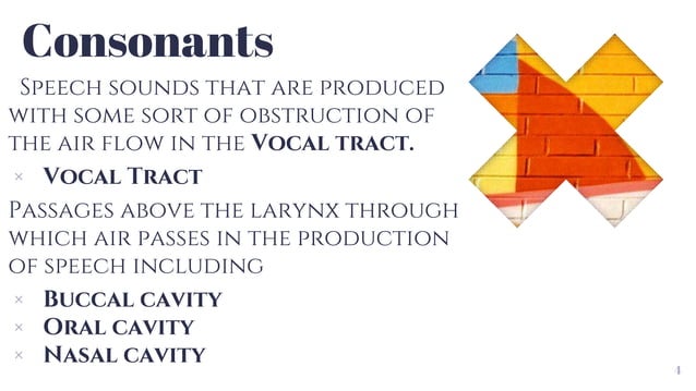 Places of articulation. | PPTX | Dental Health | Diseases and Conditions