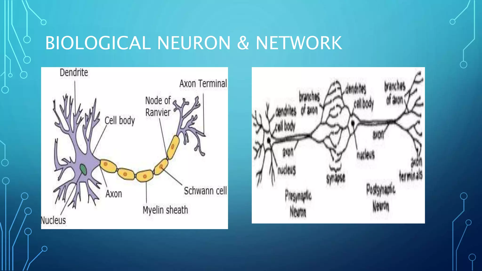 Nimrita deep learning | PPTX