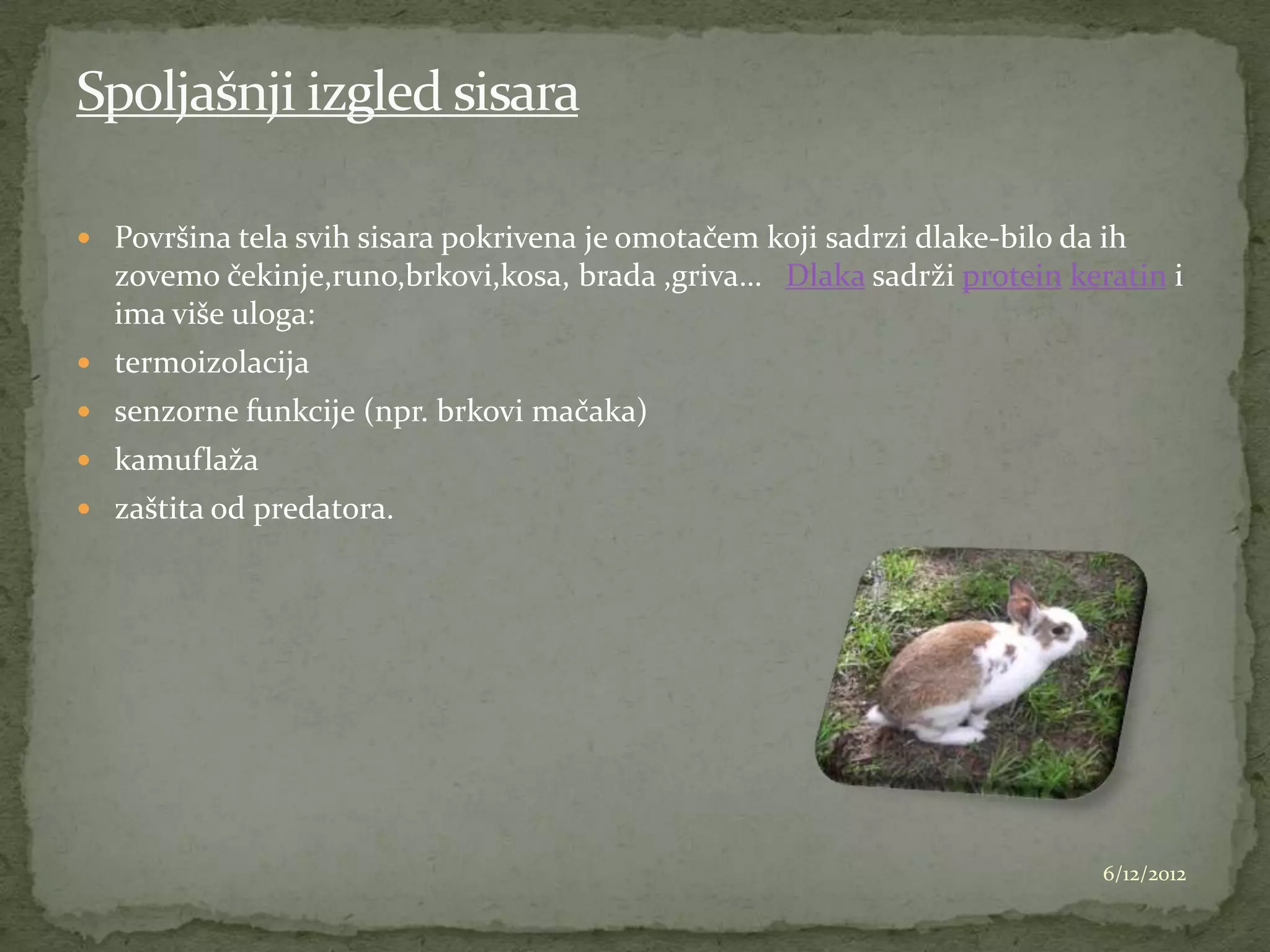 SISARI - odlike, VI razred | PPSX