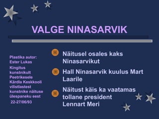 Ninasarvik | PPT