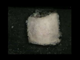 NINA TANDON – The power of being upside-down: perspectives from a yogi ...