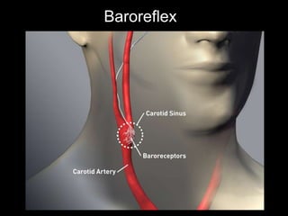 NINA TANDON – The power of being upside-down: perspectives from a yogi ...