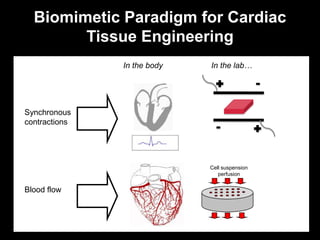 NINA TANDON – The power of being upside-down: perspectives from a yogi ...