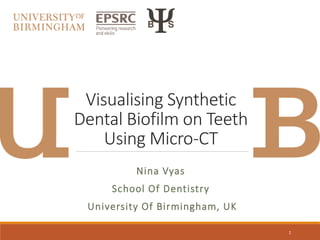 Visualising Synthetic Dental Biofim on Teeth Using Micro-CT | PDF