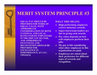 Nine merit principles | PDF